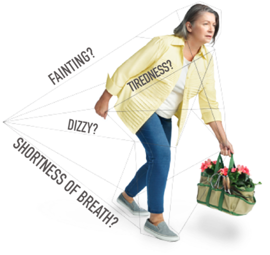 Hypertrophic Cardiomyopathy (HCM) Resources